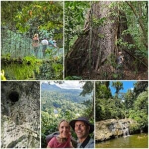 Sabah Travel: The Best of Borneo Malaysia